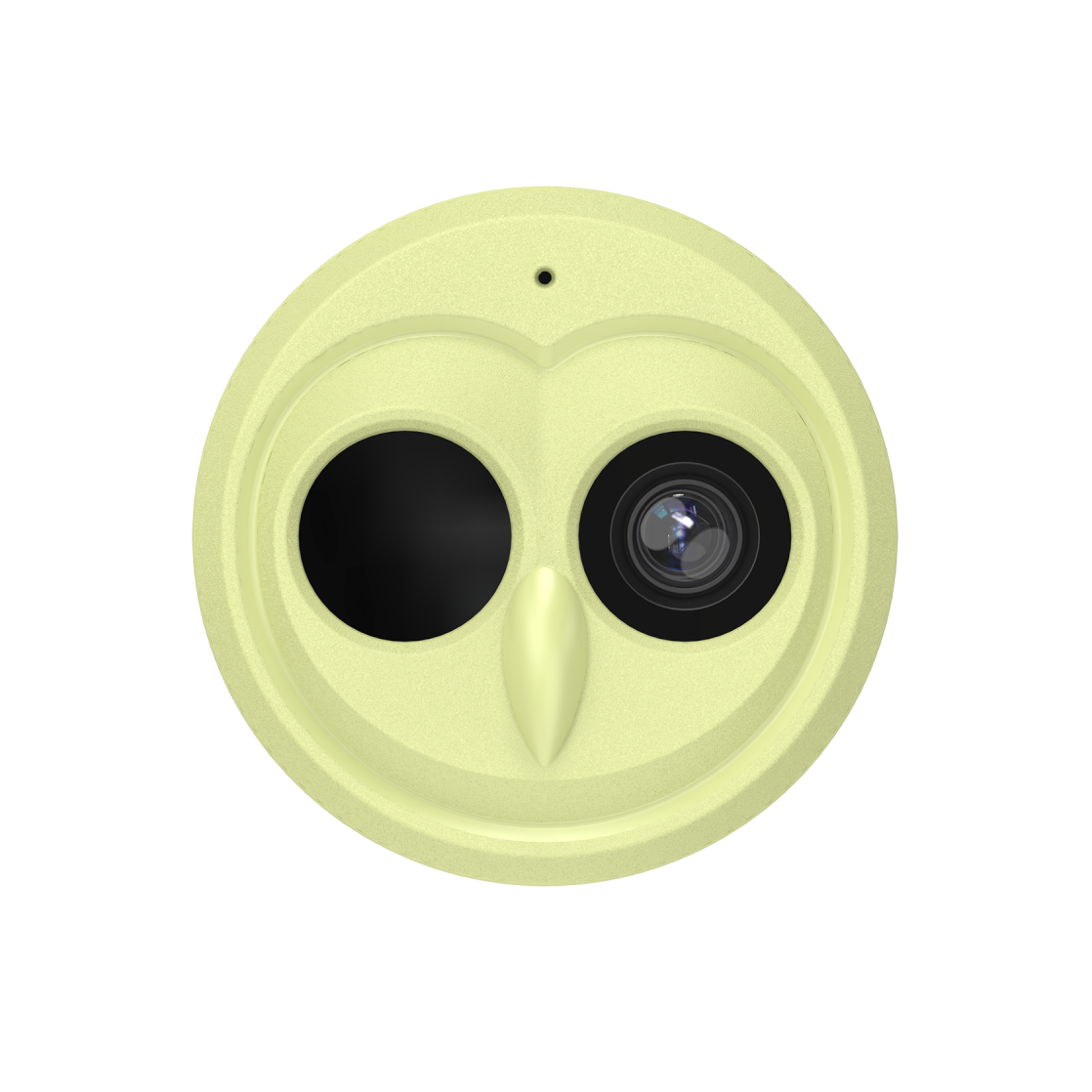 BK800 Mini Palm-Size 4K Smart Bird Camera - AI Bird Identification ...