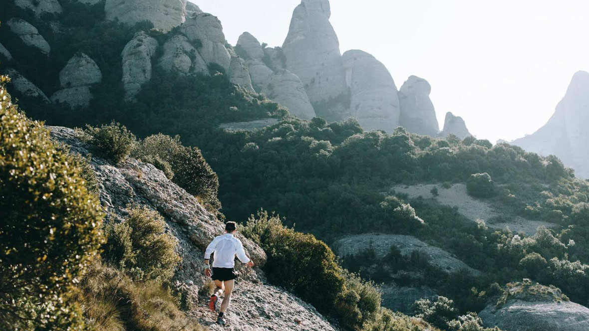 Understanding PIR Sensitivity in Trail Cameras: B2B Practical Guides