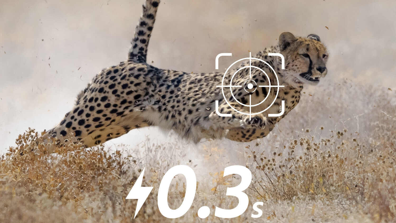 Guide to Adjusting PIR Sensitivity on Trail Cameras