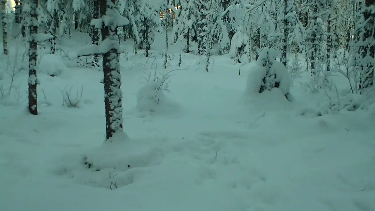 Shell&Protection Design in High-End TrailCameras