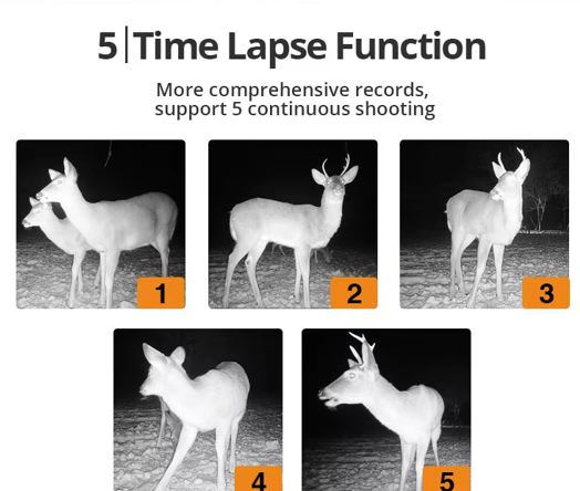 The Ultimate Thermal 4G Live Trail Hunting Camera Guide